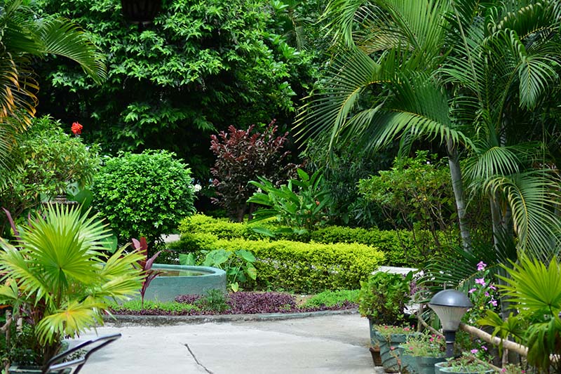 Complete Uttarakhand Travel Guide- Places to Visit | IndianYug | IndianYug