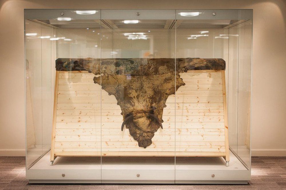 Holy Cow and The Story of Origin of Vaccine That Ended Smallpox ...