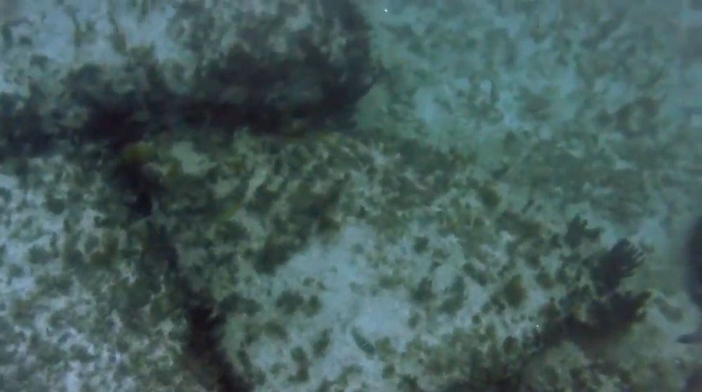 Is Ram Setu a Man-Made Structure and Proof that Ramayana is Real ...